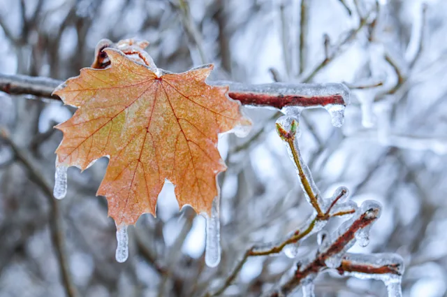 Tomorrow's Weather Québec city (Jan 05): Frigid Cold, Clear Skies - The ...