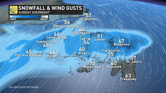 Record snowfall buries parts of Maritimes, sets sights on Newfoundland ...