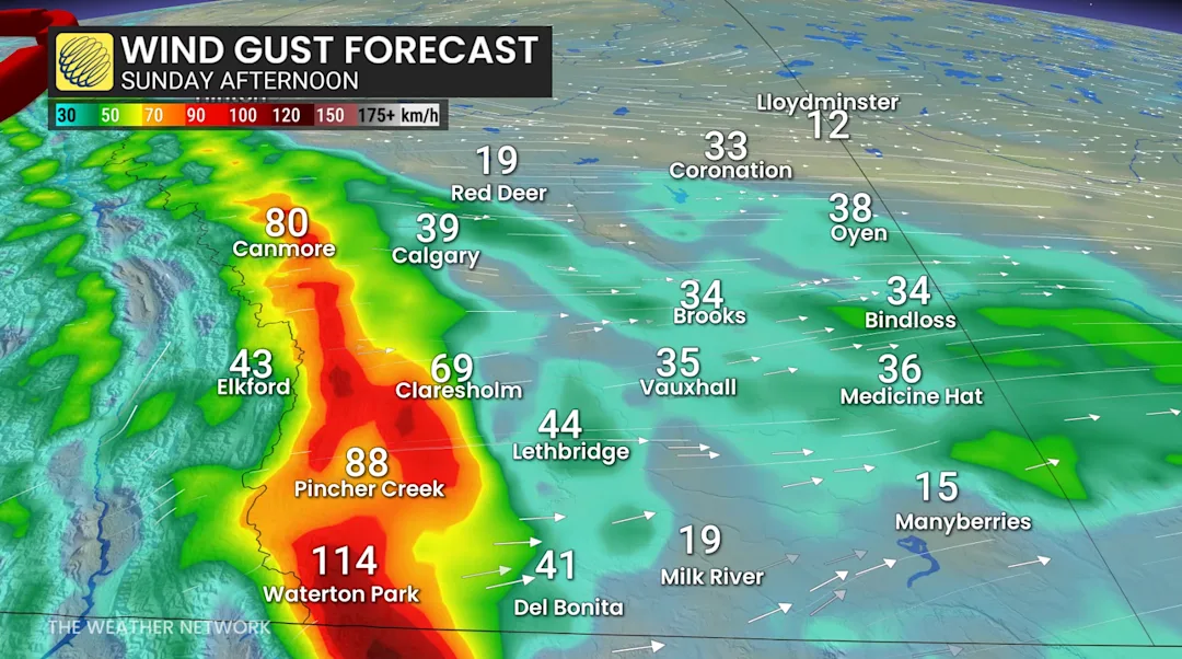 Temperatures and wind gusts set to soar in Alberta - The Weather Network