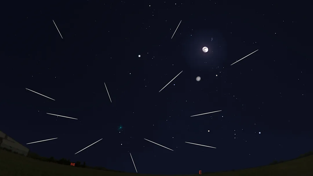 Look up! What's going on in the December night sky? - The Weather Network