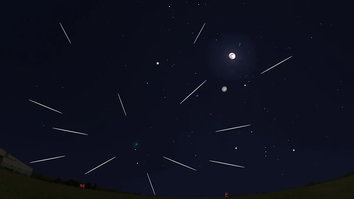 Look up! What's going on in the December night sky? - The Weather Network