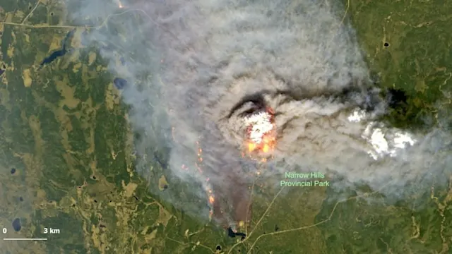 Parts of Narrow Hills Provincial Park burned by wildfire, closed to ...