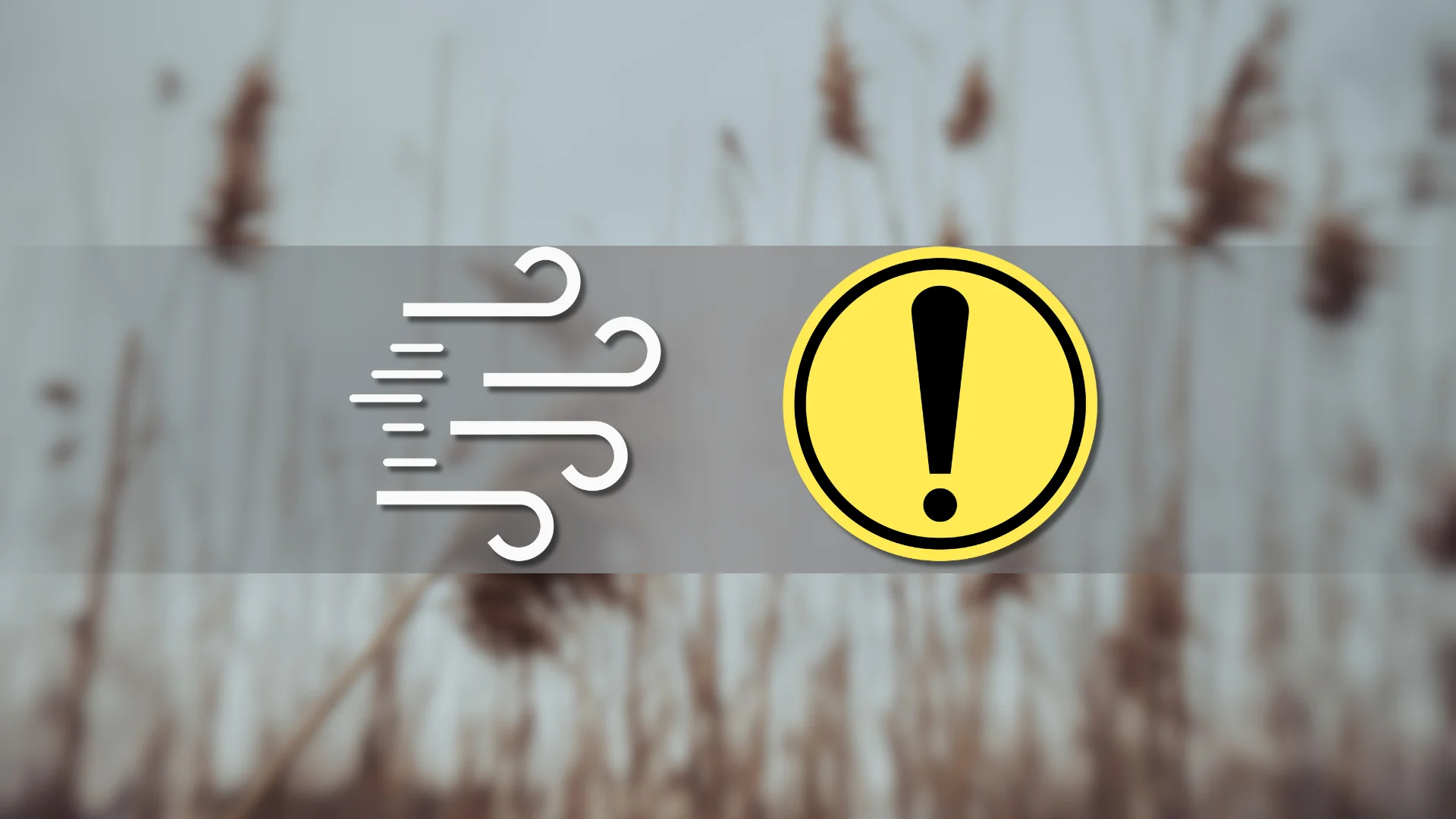 Alerts - Windsor, ON - The Weather Network