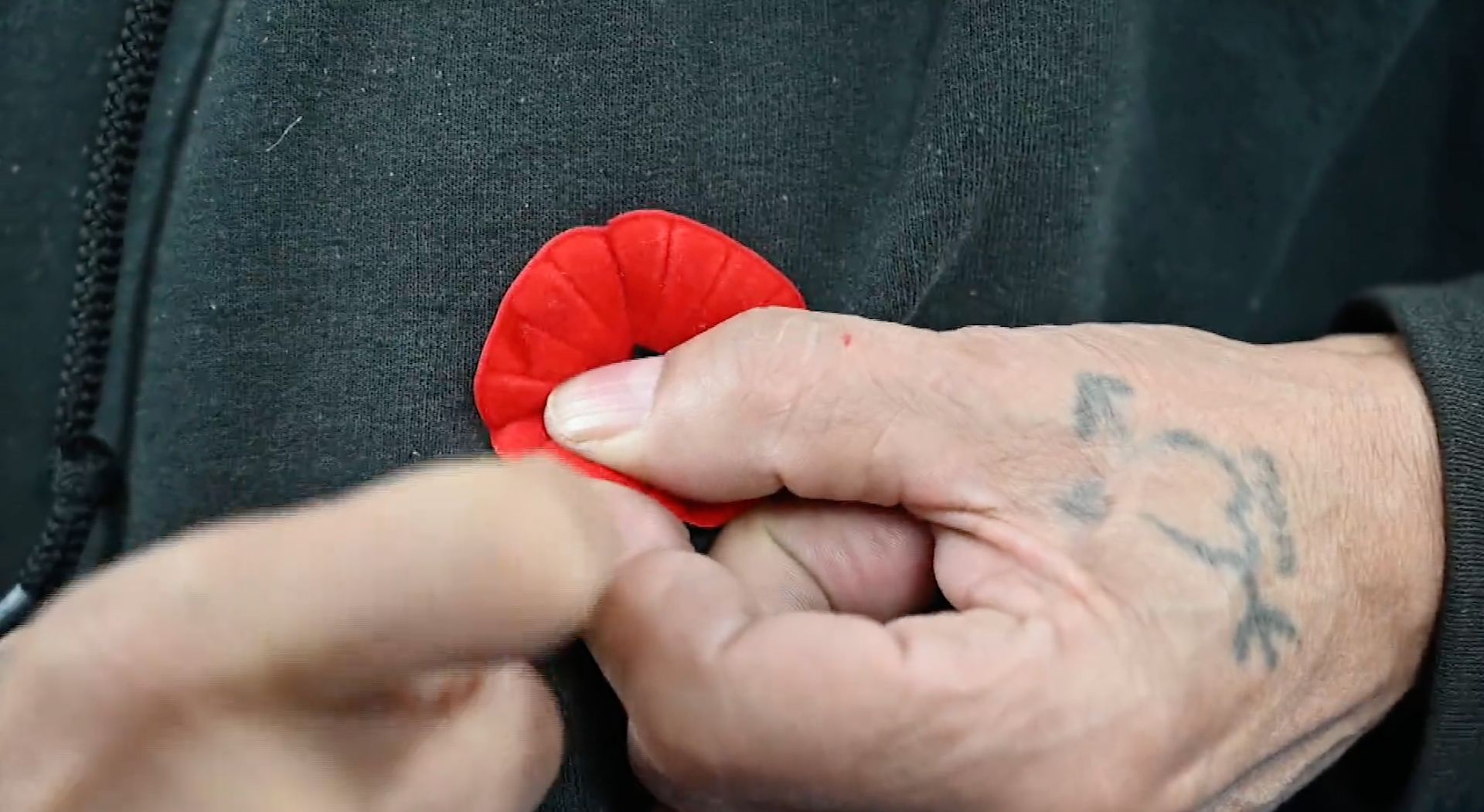How to stop losing your poppy - The Weather Network