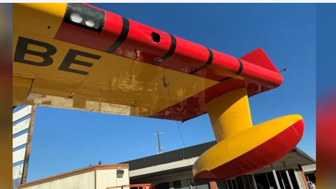 Drone pilot who crashed into Canadian firefighting plane in LA gets ...