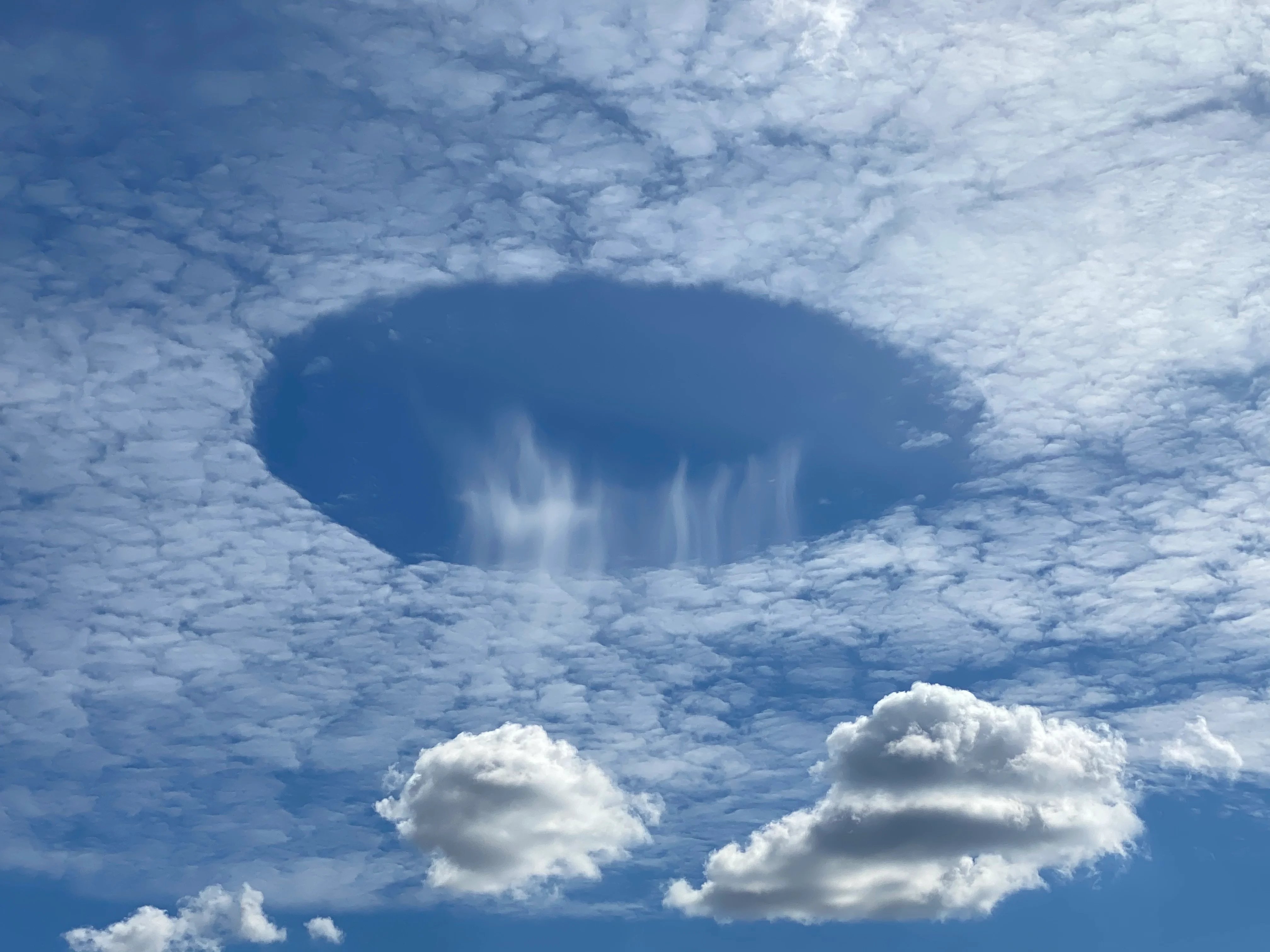 No aliens, just weather: The stunning 'UFO' cloud over Sydney - The ...