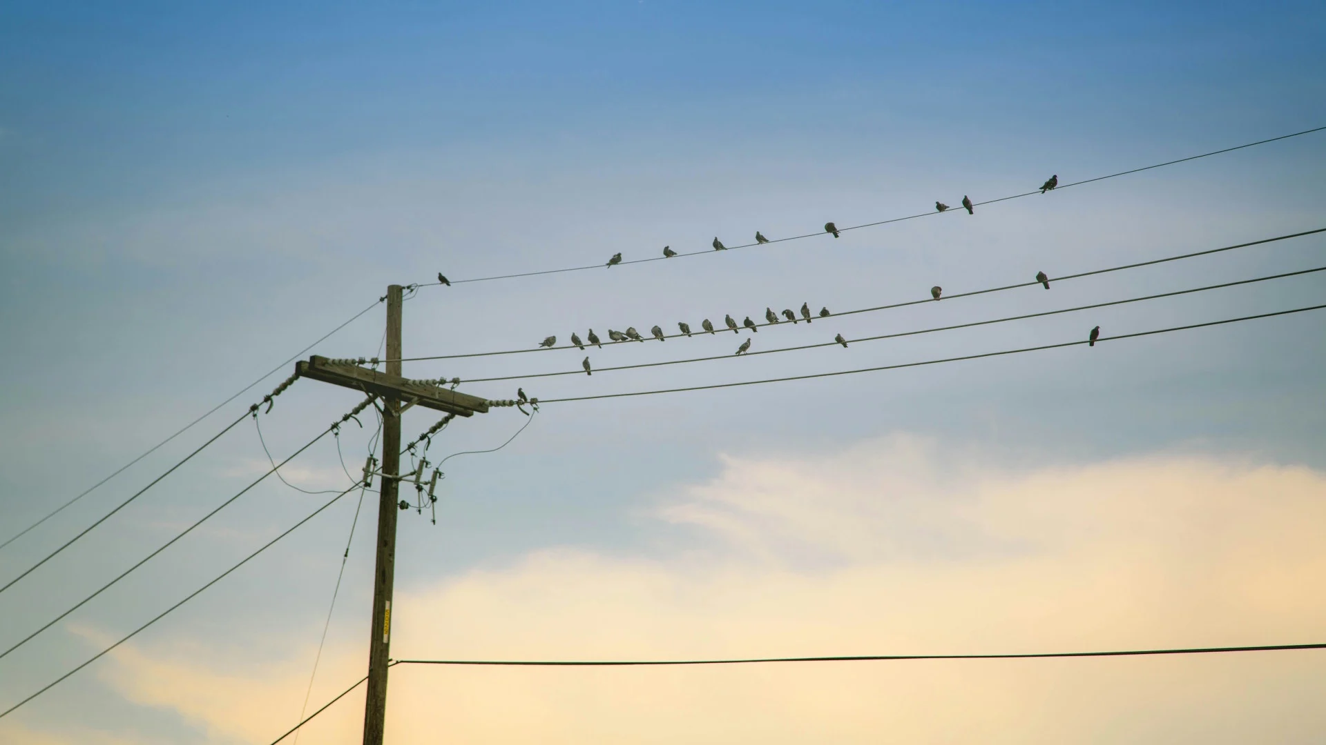 Thousands without power as blustery winds hit Quebec - The Weather Network