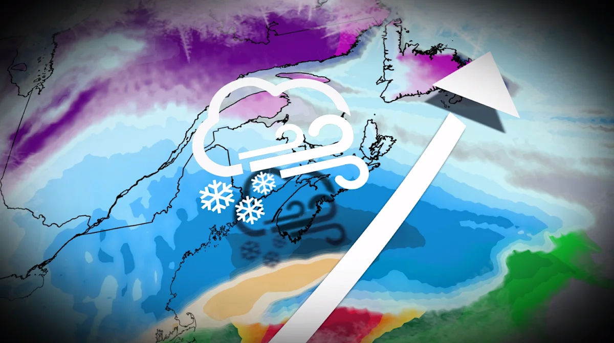 Nova Scotia Power asks customers to conserve power amid cold - The ...