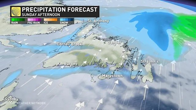 Heavy, blowing snow makes for hazardous conditions in Newfoundland ...