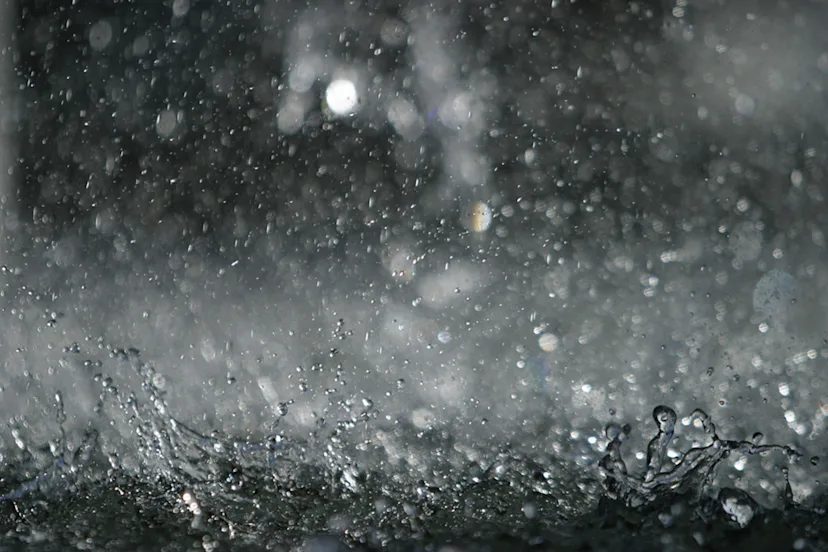 Trenton's weather forecast for November 26: Light rain and windy ...