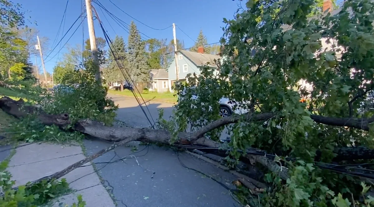 Photos: Ontario ice storm causes widespread damage, outages - The ...