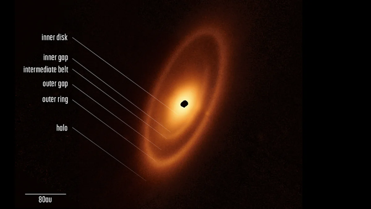 Fomalhaut's hidden debris rings revealed in amazing detail by JWST ...