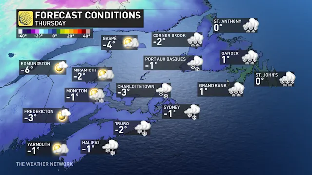Newfoundland sees more snow as nor'easter continues winter wallop - The ...
