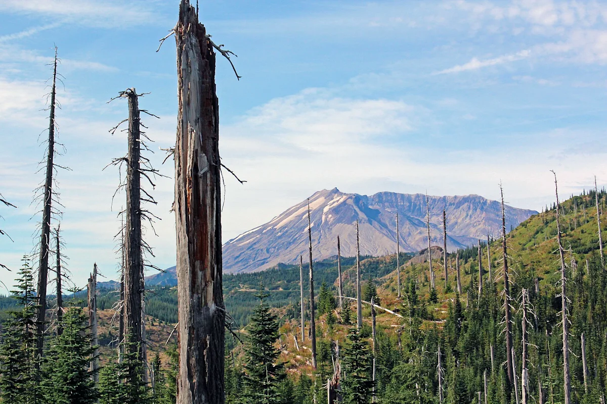 Mount St. Helens eruption caused the worst landslide in world history ...