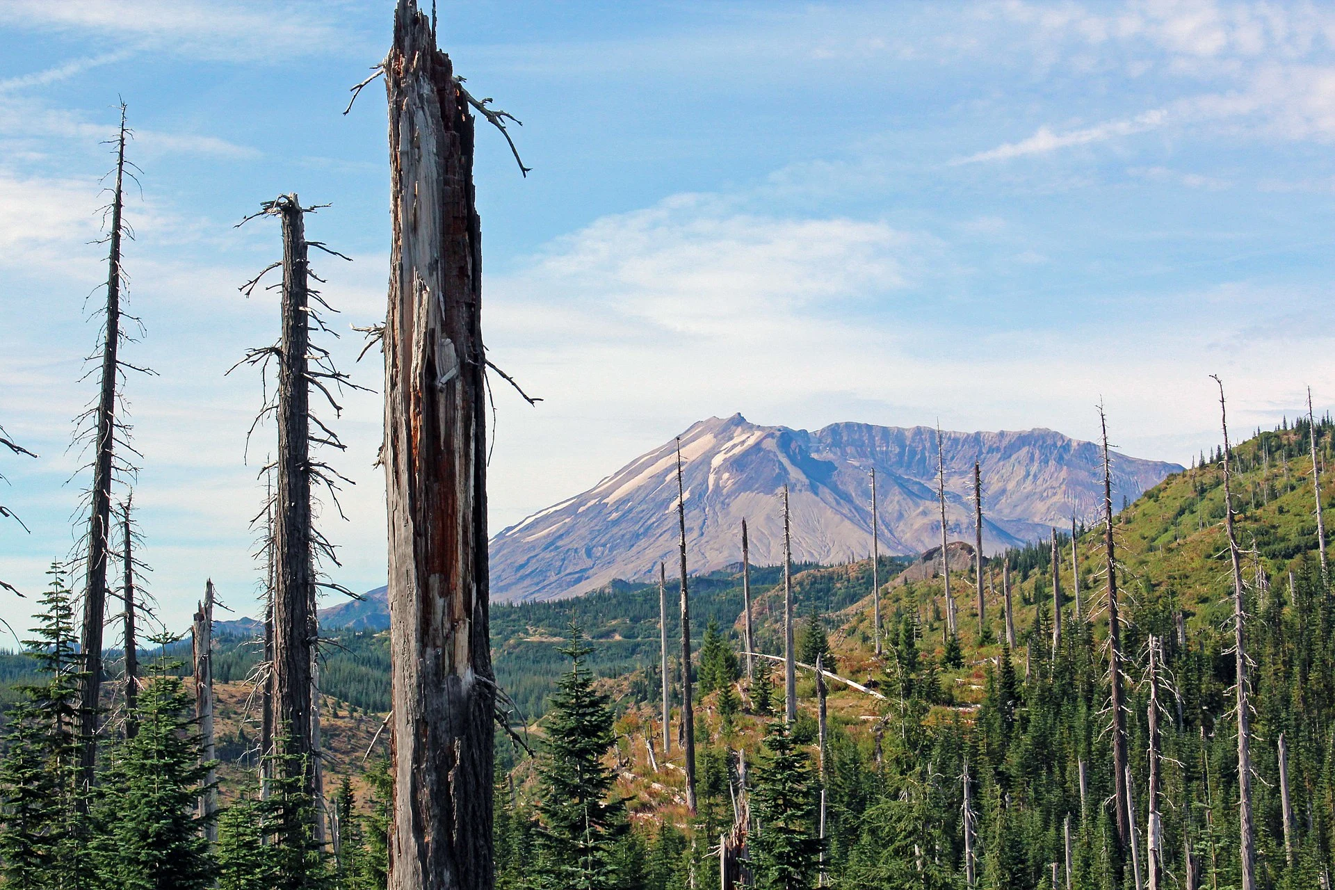 Mount St. Helens eruption caused the worst landslide in world history ...