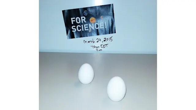 Can you balance an egg on the spring equinox? - The Weather Network