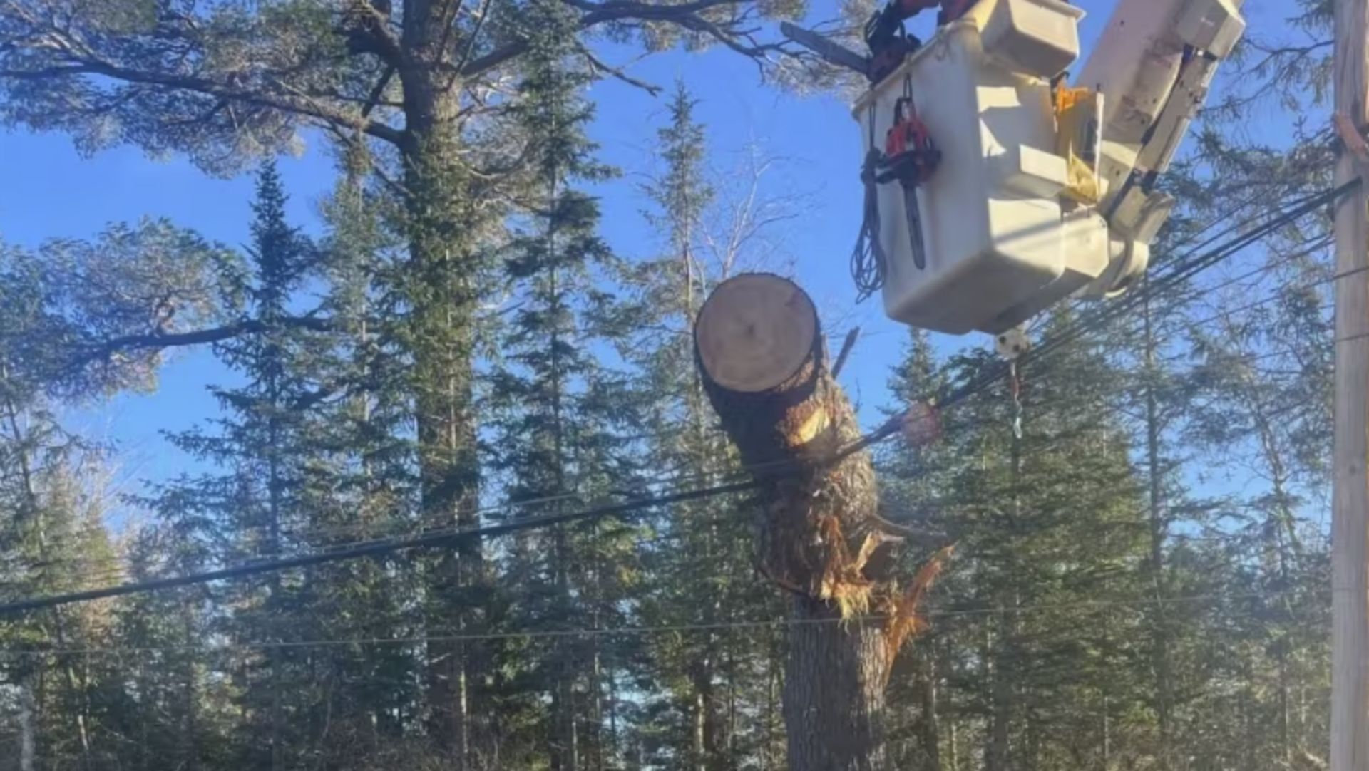 New Brunswick's pre-Christmas power outage among the worst in decade ...