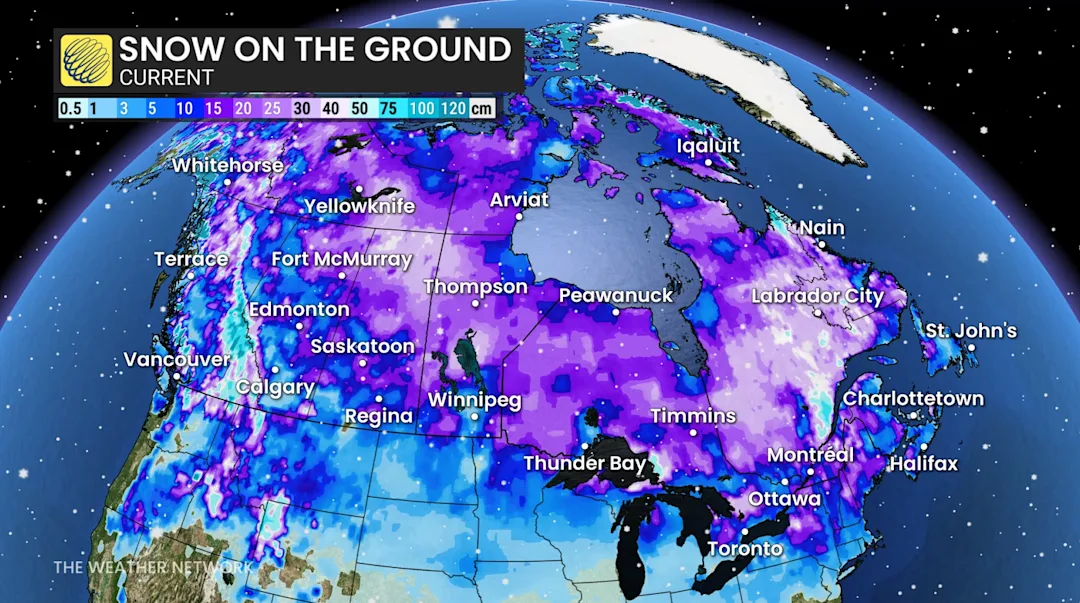 Look up tonight to see February's Full Snow Moon - The Weather Network