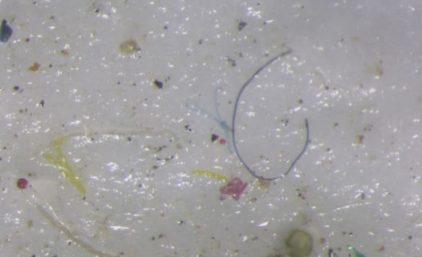 Microplastics have made their way INTO Arctic ice - The Weather Network