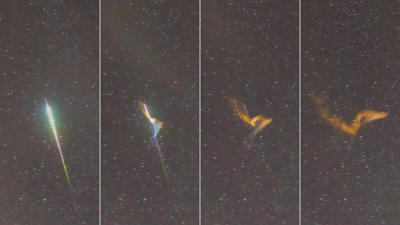 Watch for Halley's Comet meteors streaking through the night sky - The Weather Network