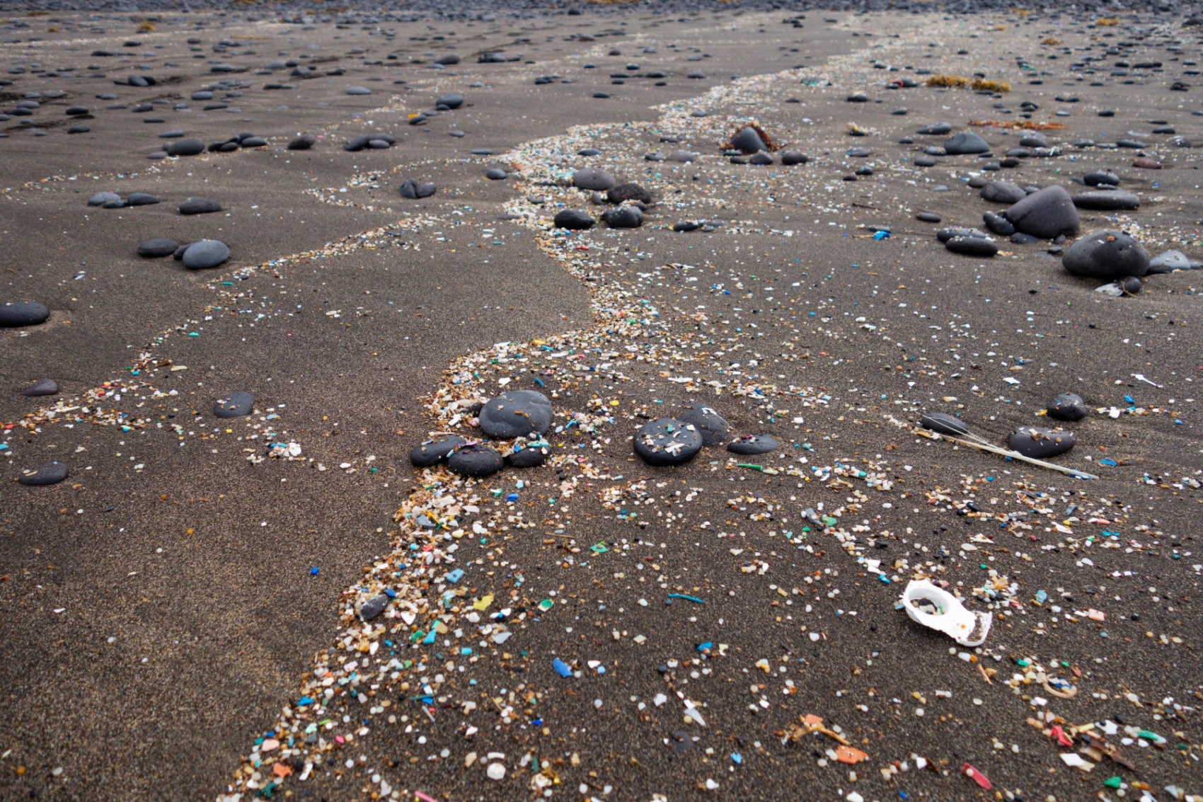 How much microplastics are inside humans? New film unveils a figure ...