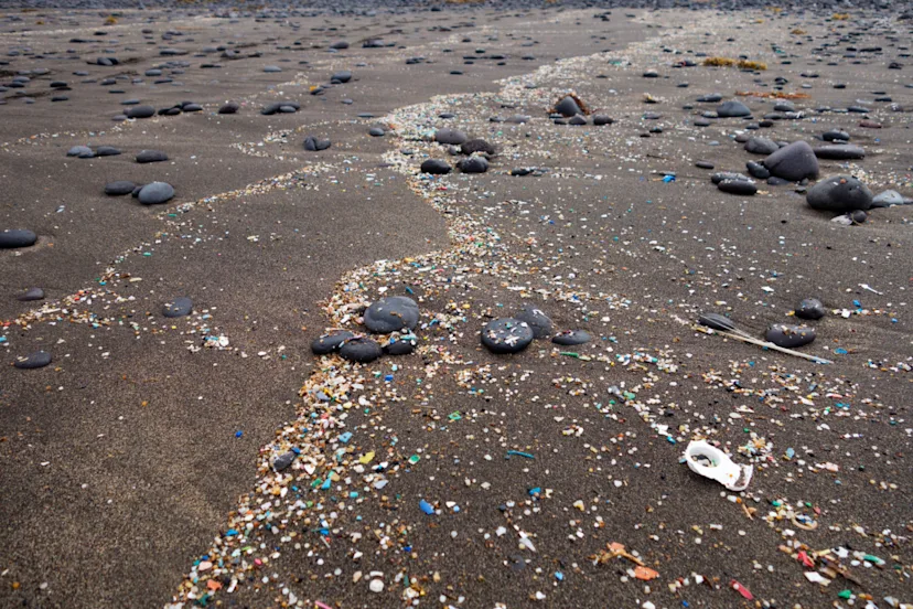 How much microplastics are inside humans? New film unveils a figure ...