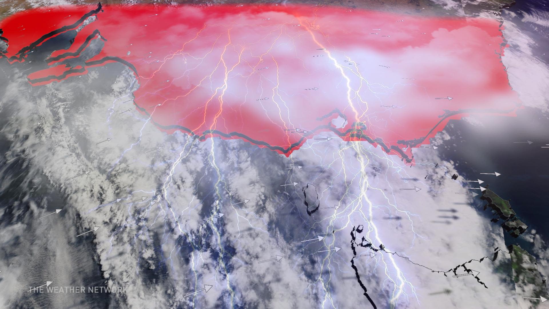 Unlocking the mysterious pollen-filled storm that sent thousands to the ...